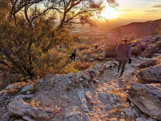 The View From the Top | Dove Mountain / Dove Mountain